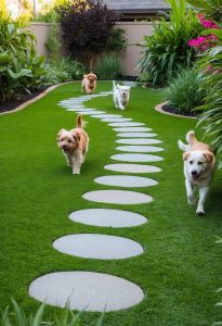 19 Dog Friendly Backyard Ideas To Create A Paw-fect Paradise For Your ...