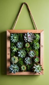 19 Succulent Wall Frame Garden Ideas To Transform Your Space This Spring